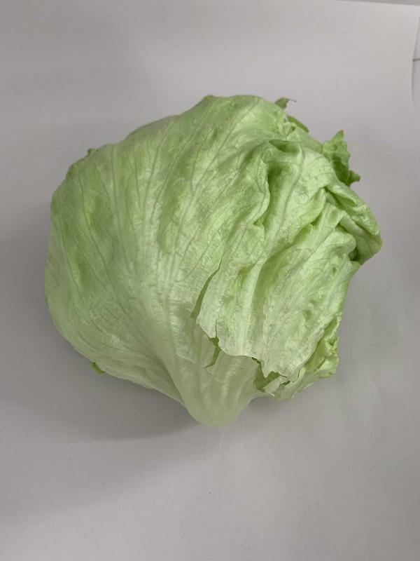 LETTUCE EACH - Your Local Butchers